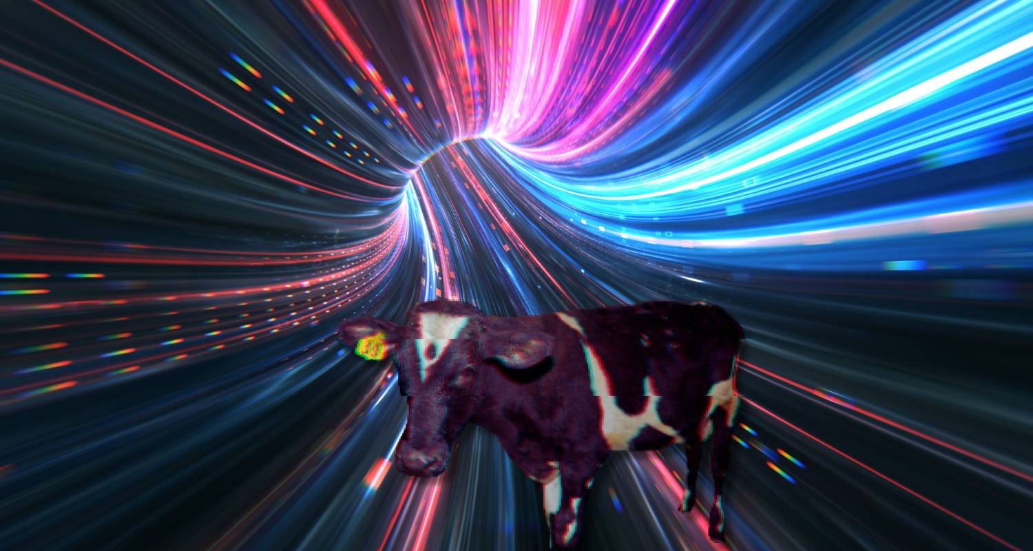 What is Model Autophagy Disorder?